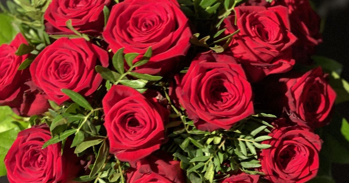 Bouquet de roses rouges › Bouquets de fleurs › Fleurs › CH Flowers Waterloo
